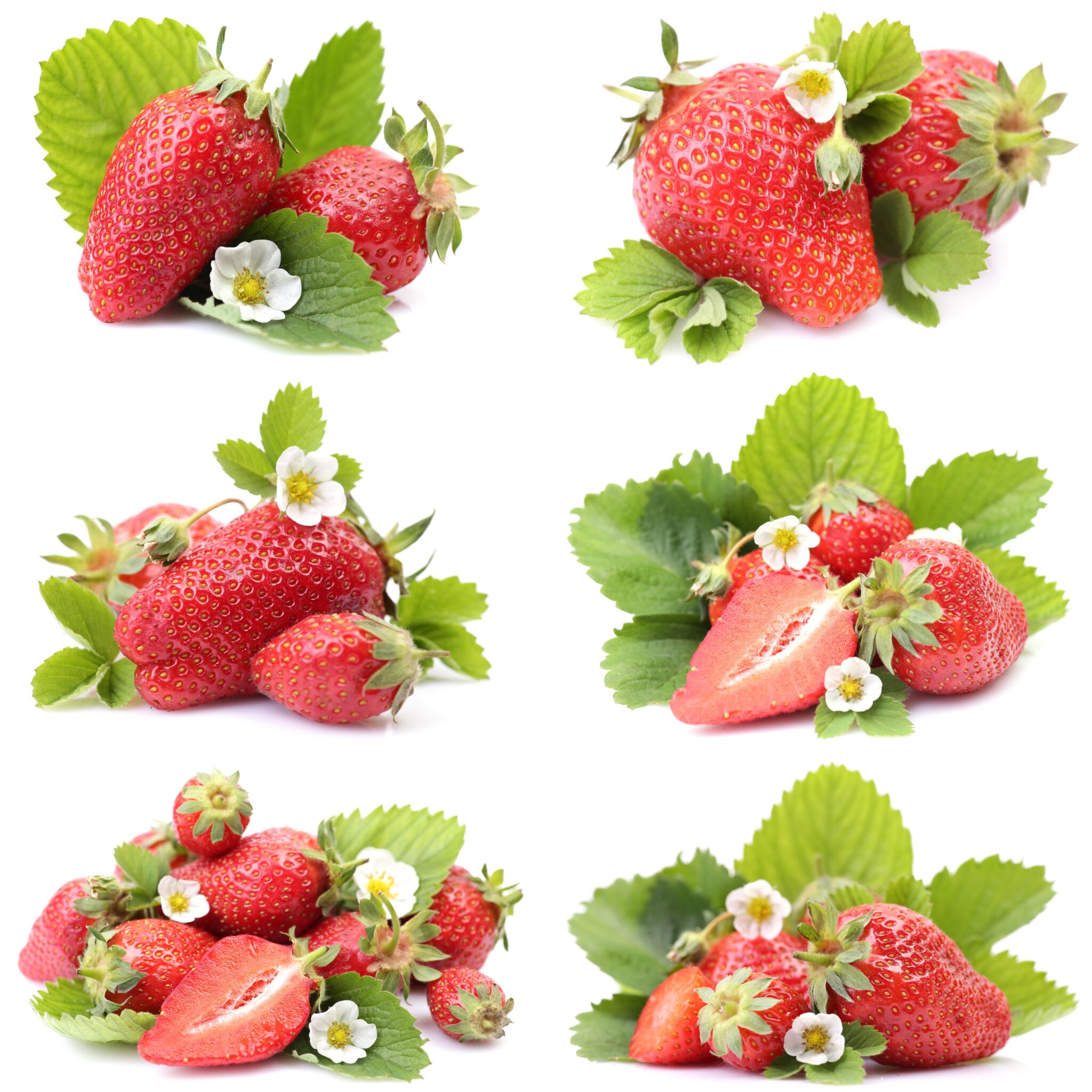 Beyaz Fon Üzerinde Canlı Çileklerin Su Arıtma Temasıyla İllüstrasyonu ...