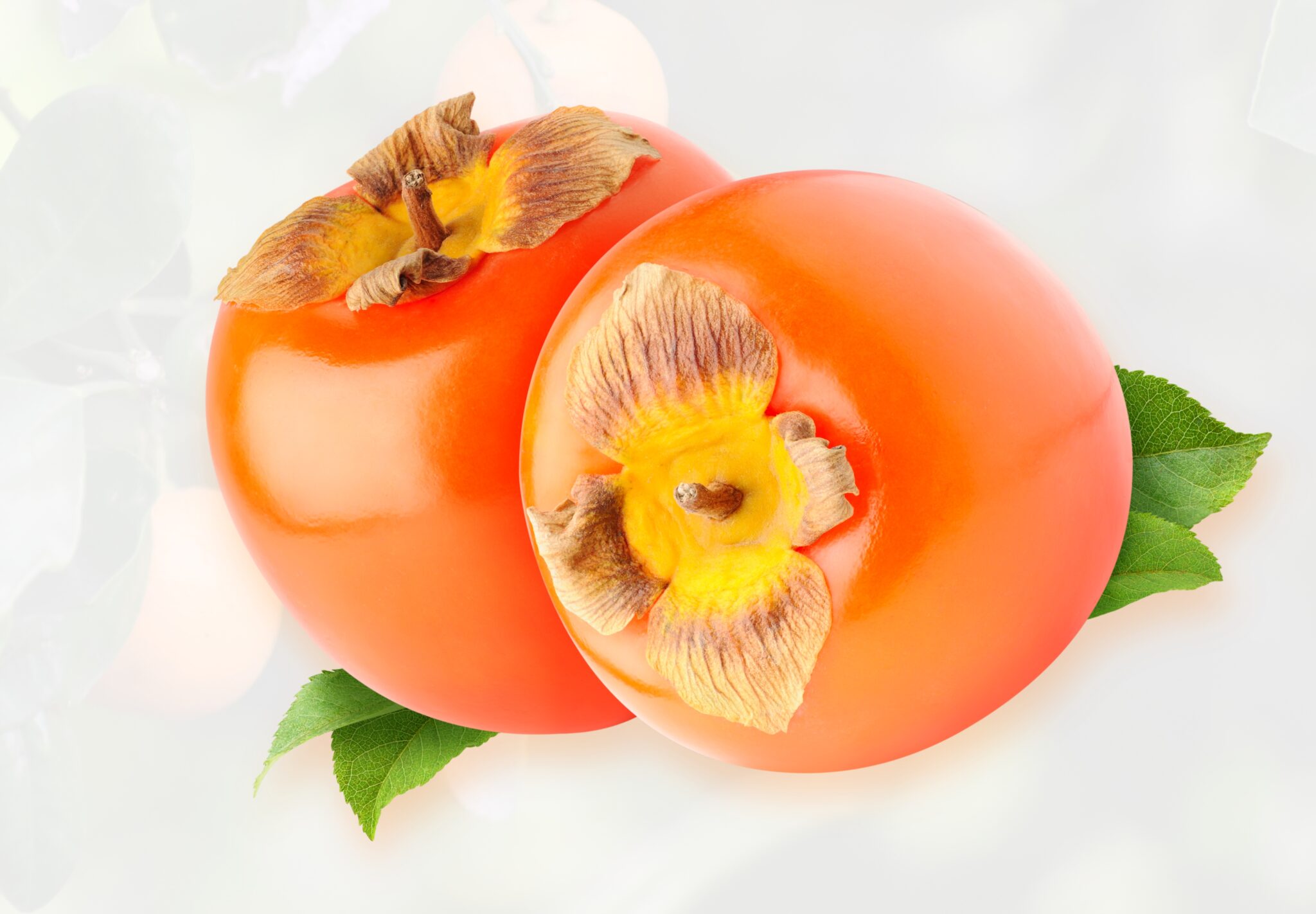 Beyaz Arka Planda Yapraklı Taze Hurma: Su İçeriği ve Doğal Tazelik – Su ...